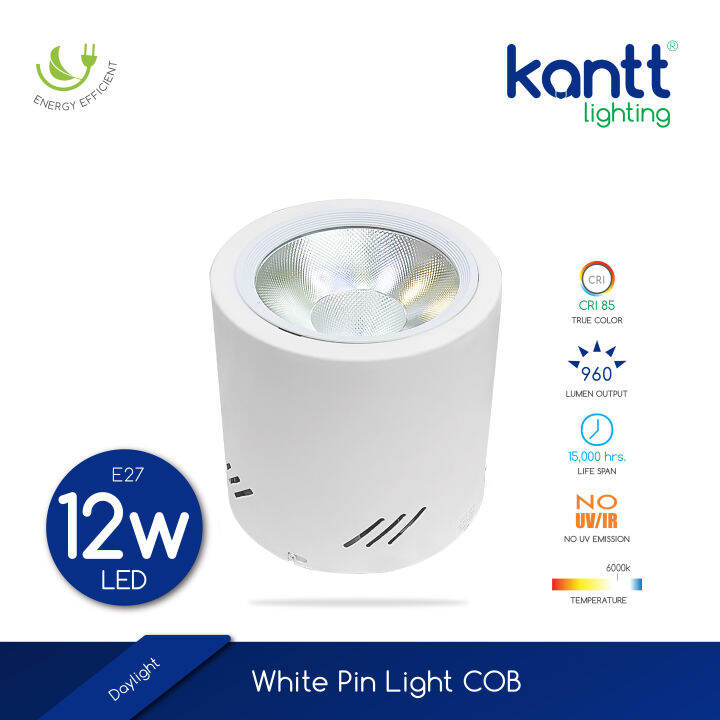 Kantt Lighting Daylight LED White Pin Light - 12W / 30W | Lazada PH