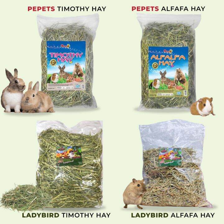 Premium Grade Alfafa Timothy Hay 500g/1kg - for Rabbits, Guinea Pigs ...