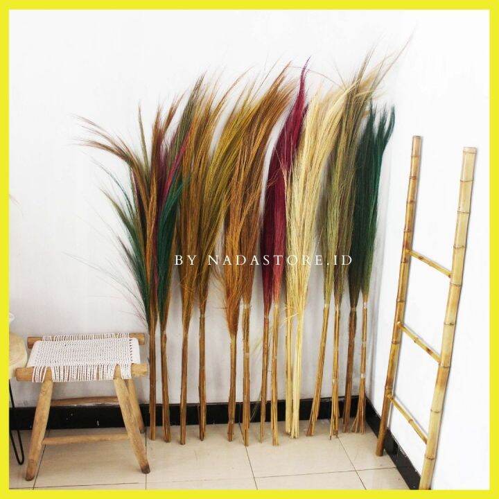 Bunga Kering Rayung / Rayung / Pampas / Dried Flowers / Rustic flower ...