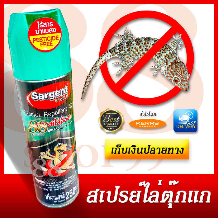 Gecko Repellent Spray สเปรย์ไล่ตุ๊กแก 250 มล. - ไล่ต๊กโต ไล่กั๊บแก้ ไล่ ...