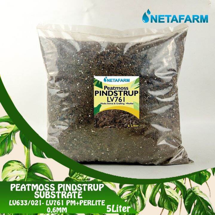 PINDSTRUP LV761 Media Tanam Peatmoss + Perlite Stek Grafting - 5 ltr ...