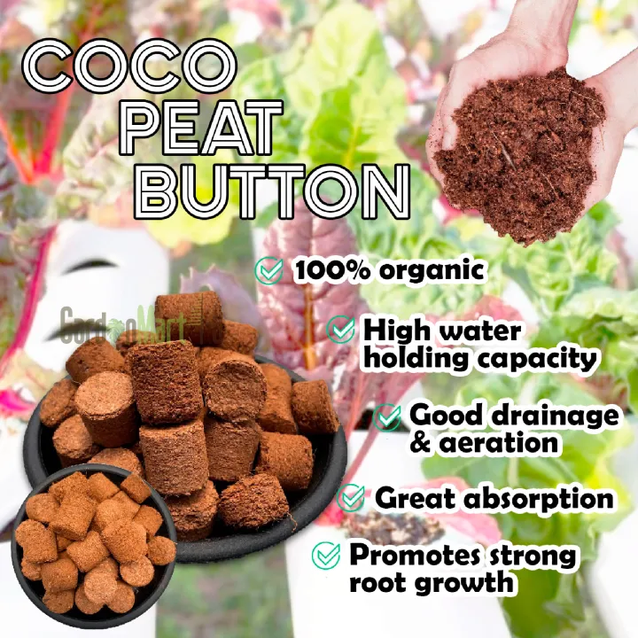 GM4U Tanah Cocopeat Coconut Peat Button Hydroponic Seed Germination ...