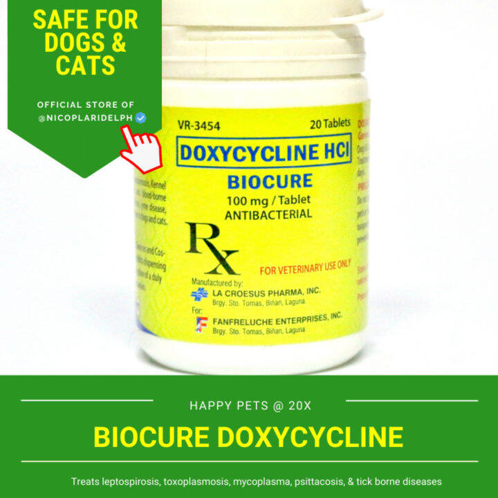 Biocure Doxy for dogs and cats (20 tablets) | Lazada PH