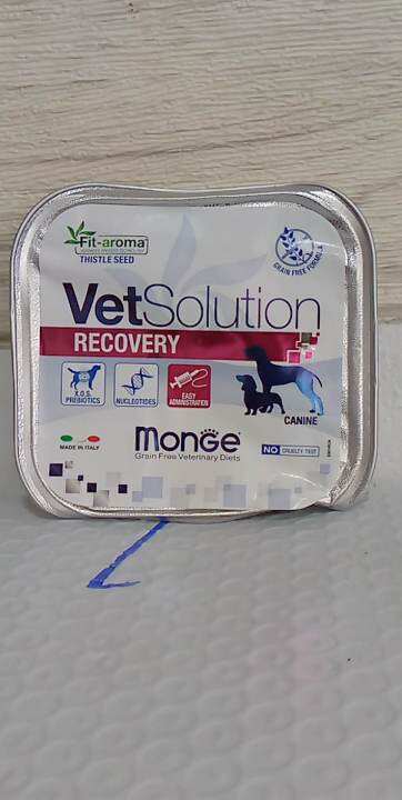 Vet Solution RECOVERY FOOD (BIG) | Lazada PH
