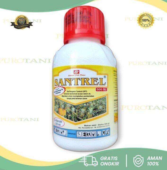 Zat Pengatur Tumbuh Tanaman Santrel 480 SL 100 Ml Etefon 480 Gl ...