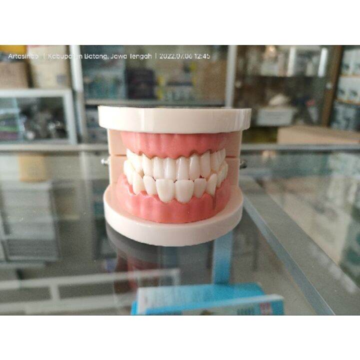 Phantom Gigi Anak Model Gigi | Lazada Indonesia