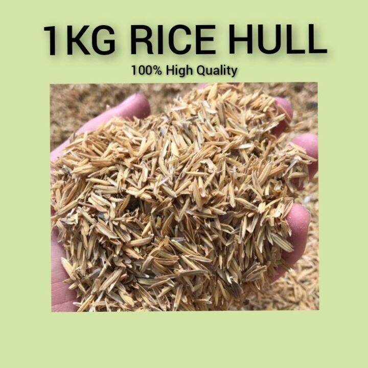 (1KG) High Quality Rice Hull / Ipa | Lazada PH