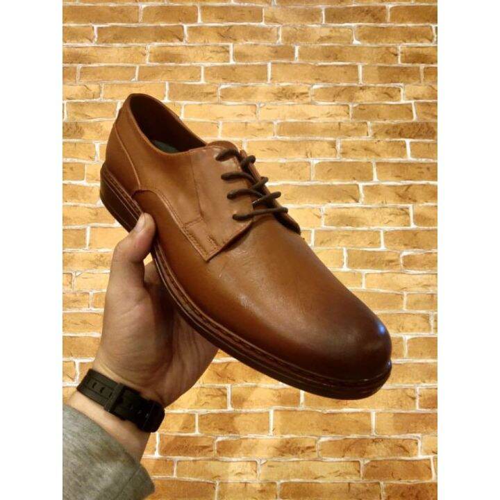 Easysoft DELUXE Collection for Men Color Brown - Cinnamon Shoes ...