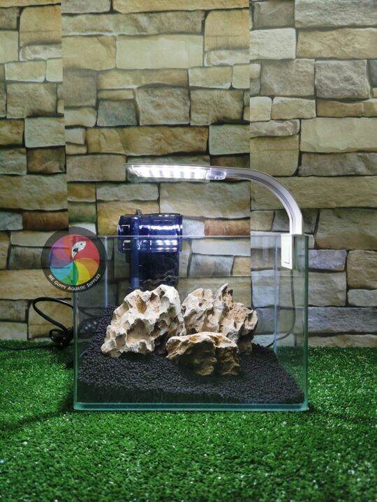 Aquarium Fish Tank 26cm Combo Set (Curve) | Lazada