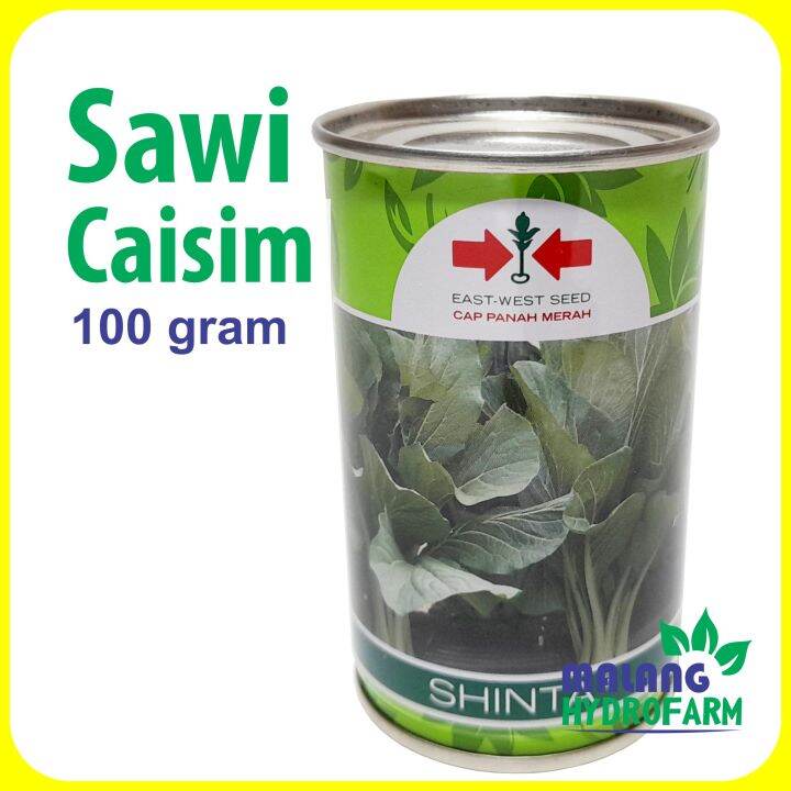 Benih Sawi Caisim Shinta 100 gram Cap Panah Merah kaleng hijau biji ...