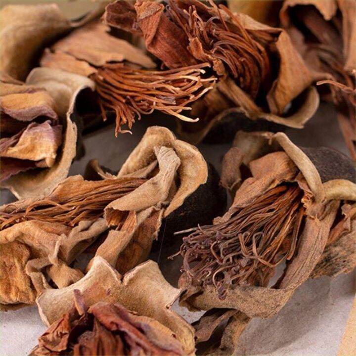Bunga Mukmin (Bunga Ratu Pari) Bombax Ceiba 木棉花 100G 【Dried flower ...