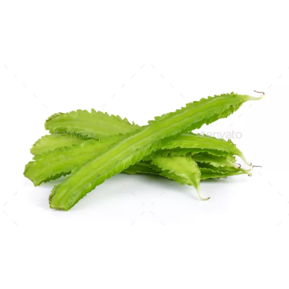 Sigarillas Winged Beans 5grams / Sigarilyas Seeds Vegetables Herbs ...