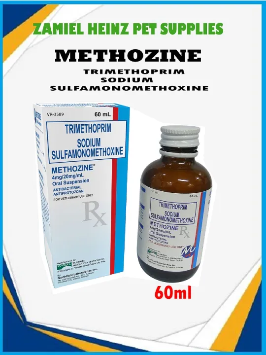 Plaridel METHOZINE 60ml (antibacterial antiprotozoan ) | Lazada PH