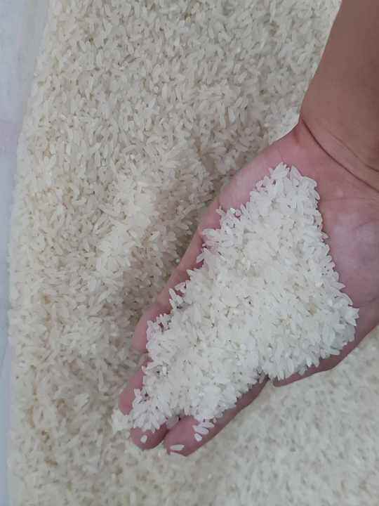 DENORADO RICE 5KL | Lazada PH