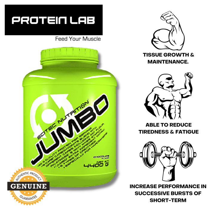 Scitec Nutrition JUMBO Weight Gainer (Chocolate) | Lazada
