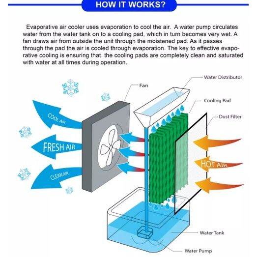 Iwata JET S10 Air Cooler 18 Liters with ICE PACK & Freebie | Lazada PH