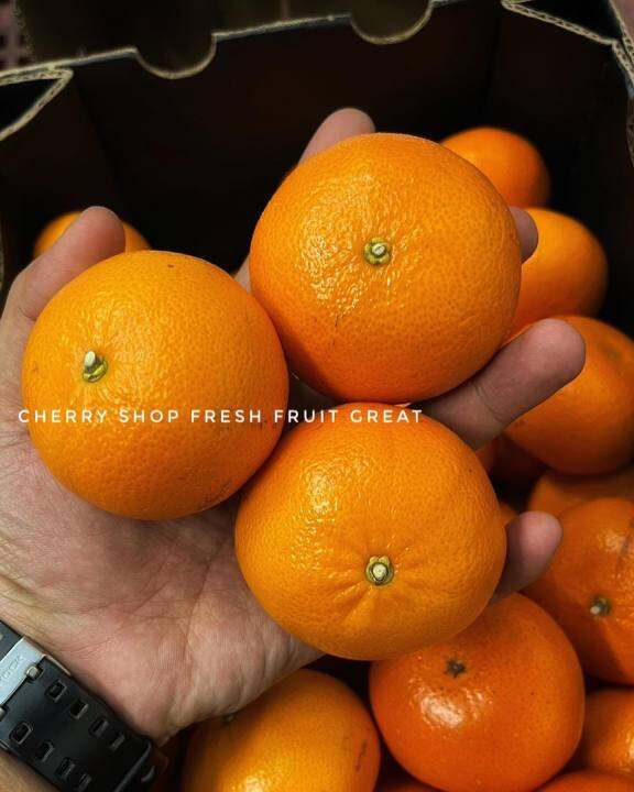 ส้มออสเตรเลีย ไร้เมล็ด สายพันธุ์ Royal Honey Murcott 9 KG | Lazada.co.th