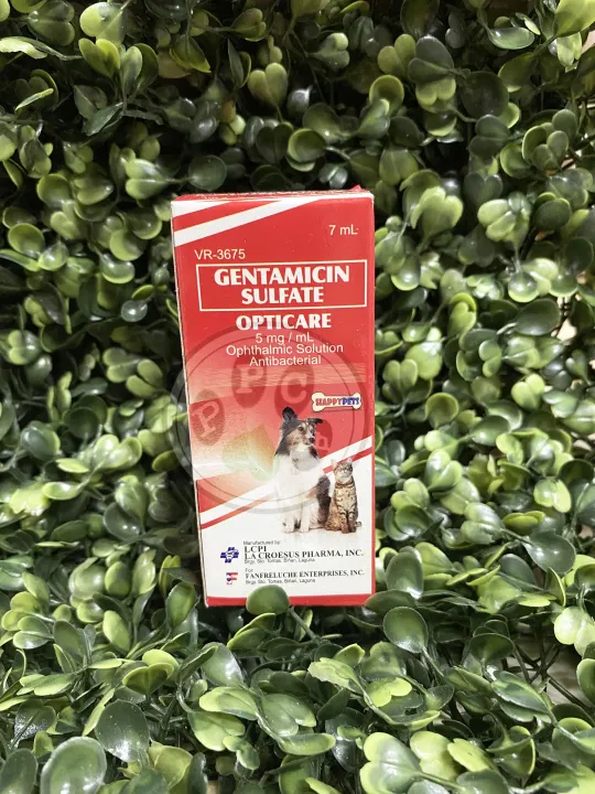 Opticare Gentamicin Sulfate Eyedrops for Pets 7mL | Lazada PH