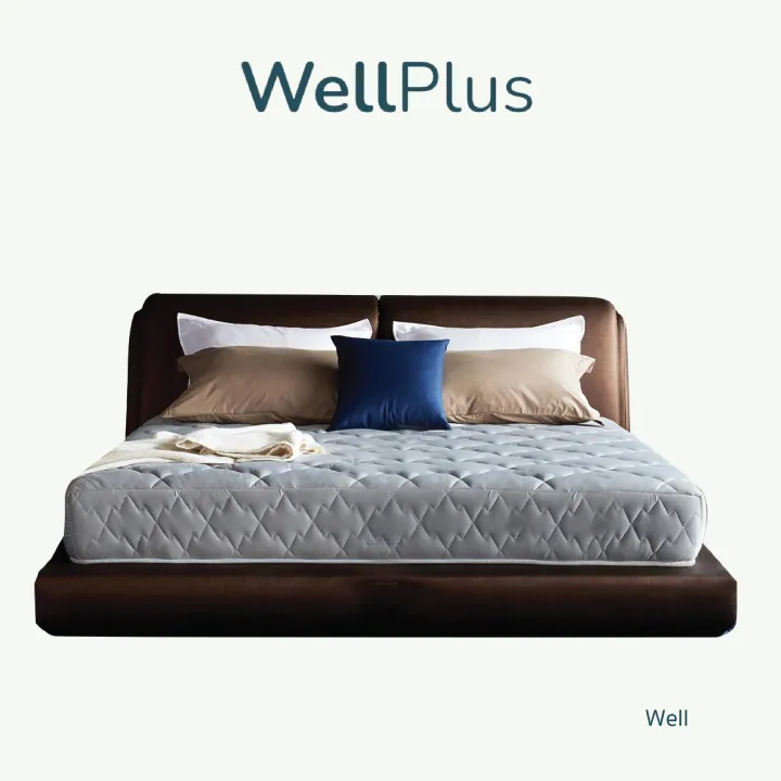 WellPlus ที่นอน รุ่น 9นิ้ว ที่นอนนุ่มแน่นสบาย รุ่น Well กับ Well2 นุ่ม ...