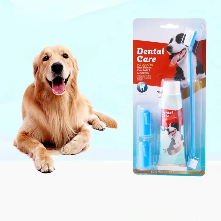1 Sided Pet Toothbrush [ Teeth Care Dog & Cat Mouth Cleaning ] | Lazada PH
