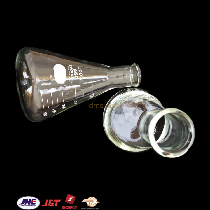 Erlenmeyer Flask/Labu Ukur 300ml, Iwaki | Lazada Indonesia