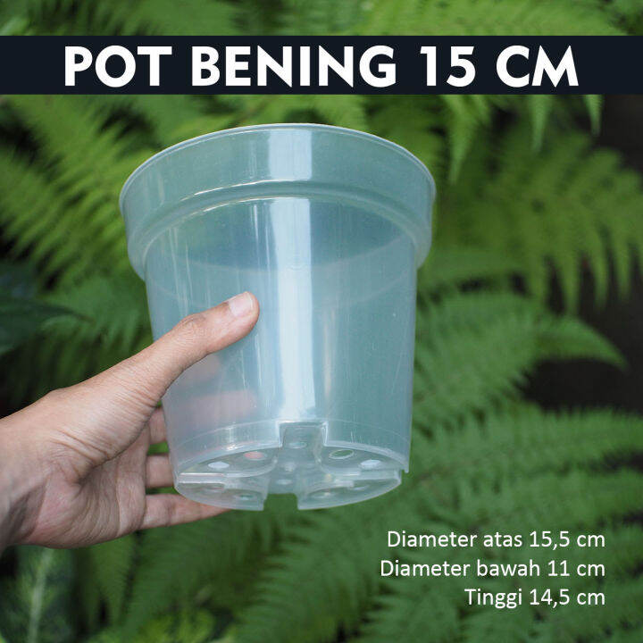 Pot Bening Plastik 15cm - Pot Bening Poros - Pot Bening Transparan ...