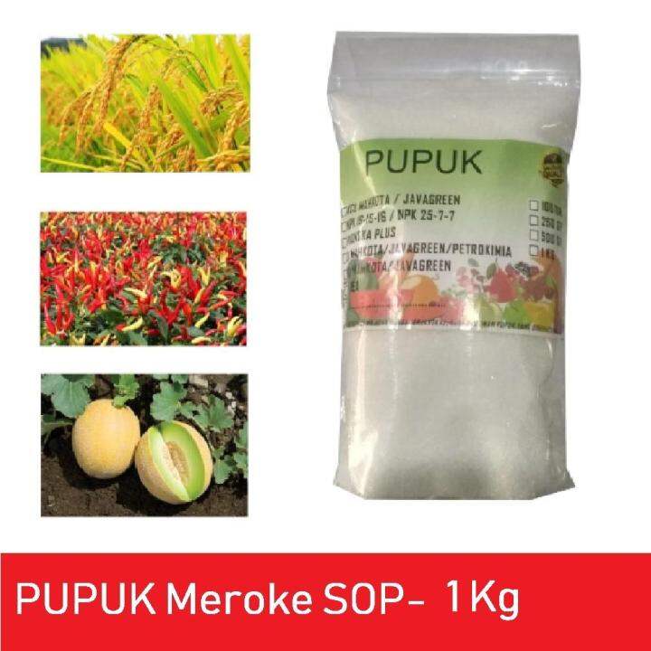 Pupuk Hidroponik ZK Kalium Sulfat 1 Kg Setara Meroke SOP Bintang Berkah ...