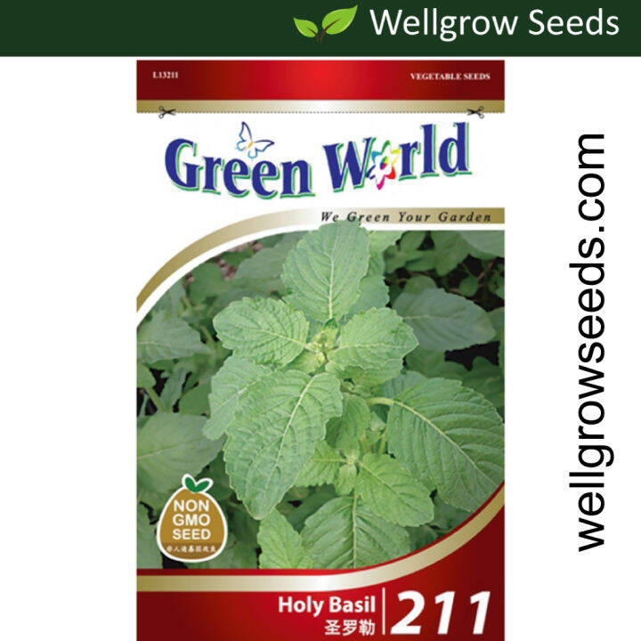 Basil Holy (100sds) 圣罗勒 GW211 | Lazada