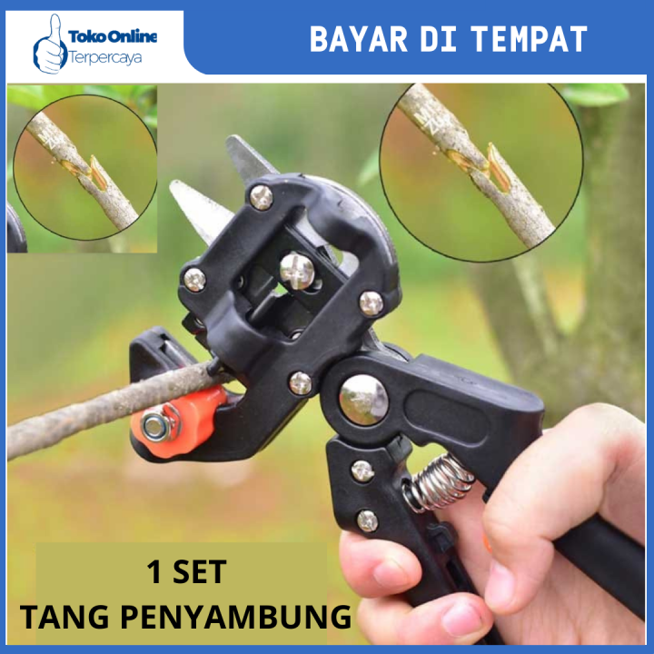 Kirim Cepat JKT Gunting Cangkok Tanaman GraftingTool Stek Sambungan ...