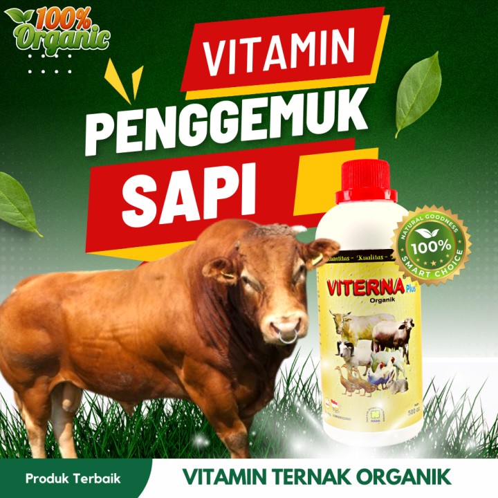 Vitamin sapi Nutrisi penggemuk 500 cc/Vitamin penambah nafsu makan sapi ...