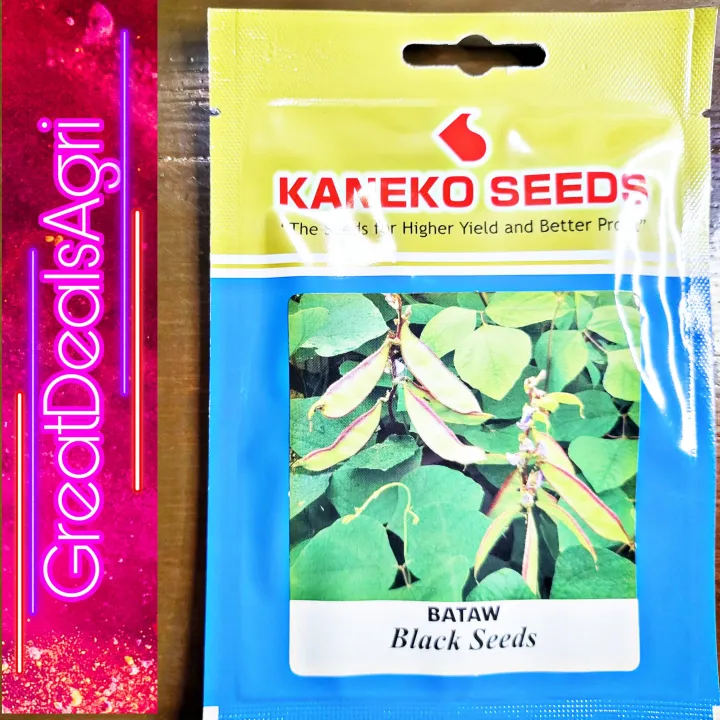 BLACK OPV BATAW SEEDS (39 SEEDS) KANEKO SEEDS | Lazada PH