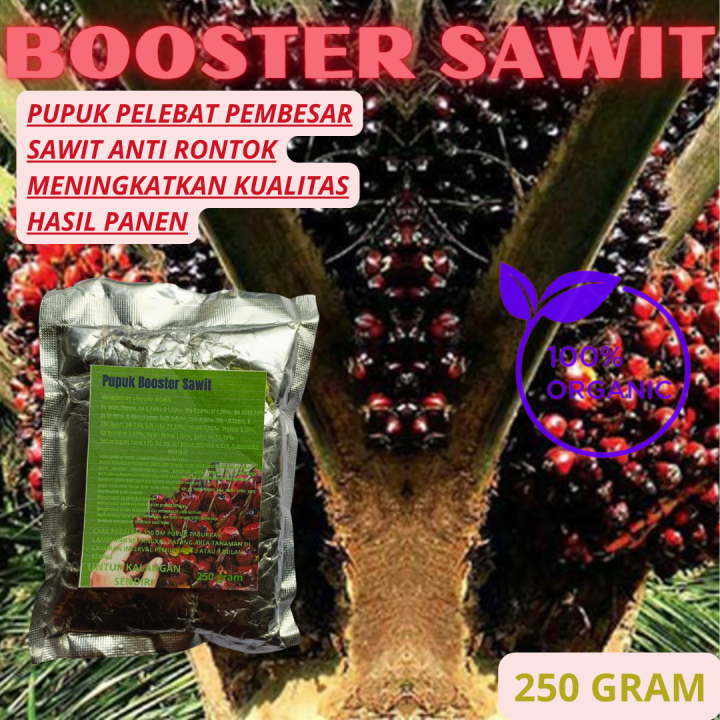 Pupuk Booster Pelebat Buah Sawit Organik / Pupuk Sawit Pemacu dan ... Pupuk Booster Pelebat Buah Sawit Organik / Pupuk Sawit Pemacu dan ...