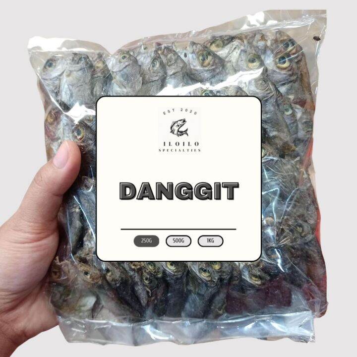 Unsalted Danggit Dried Fish from Iloilo 1kg | Lazada PH