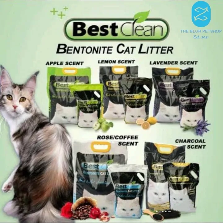 Best Clean Bentonite Cat Litter Sand 10L Pet Cat Accessories | Lazada PH