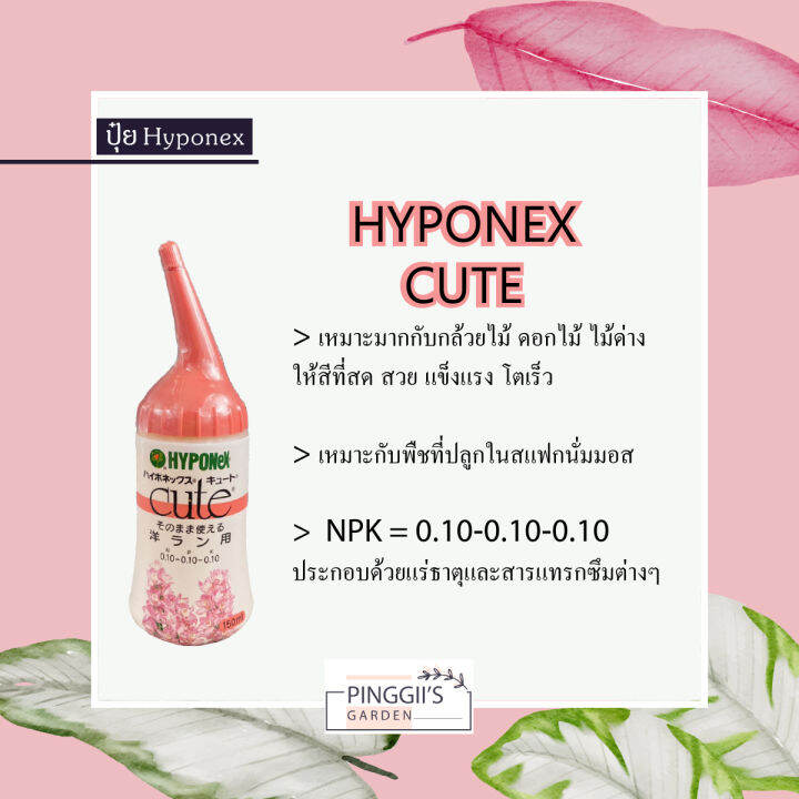 HYPONEX CUTE ปุ๋ยไฮโพเนกซ์ ปุ๋ยน้ำหยดตัวใหม่ สำหรับ กล้วยไม้ ดอกไม้ ไม้ด่าง ให้แข็งแรง โตเร็ว ...