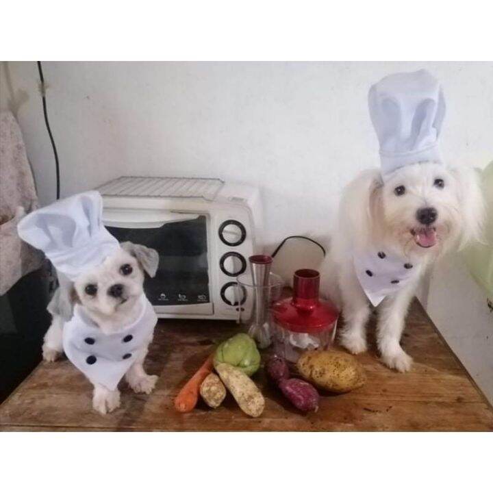dog or cats chef costumes | Lazada PH