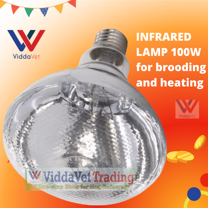 Piggery and Poultry BROODER Heat LAMP Bulb 100 watts for animals ...