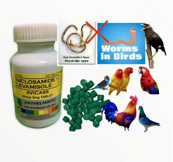 BIRD DEWORMER AVICASS (NICLOSAMIDE+LEVAMISOLE) 9PCS | Lazada PH