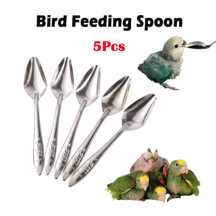 5Pcs Spoons for Handfeeding Birds | Lazada PH