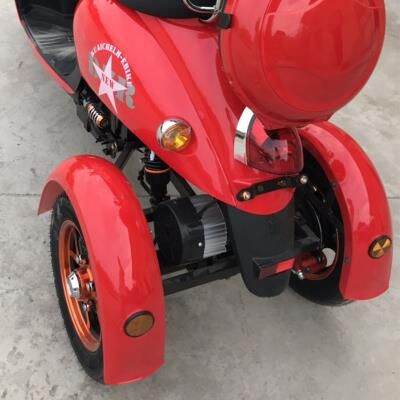 Japan buys a new small-shell electric car to block the small sheep ...