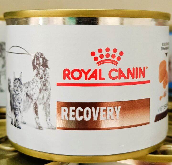 Royal Canin Recovery diet 195g | Lazada PH