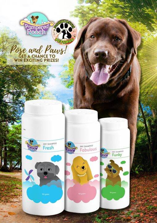 Pampered Pooch Dry Shampoo 150g - Fabulous | Lazada PH