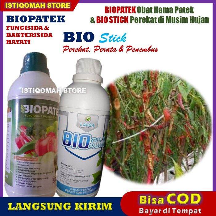 PAKET HEMAT 1 BIOPATEK + 1 BIO STICK - Fungisida Hayati & Perekat Pupuk ...