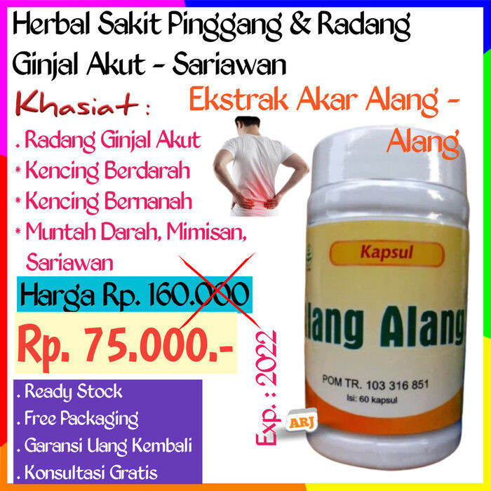 Obat Susah Buang Air Kecil (BAK) Herbal Akar Alang Alang Mengatasi ...