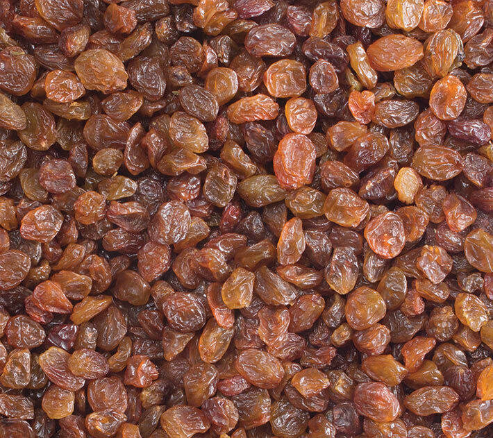 Iran Sultana Raisin 50g | Lazada