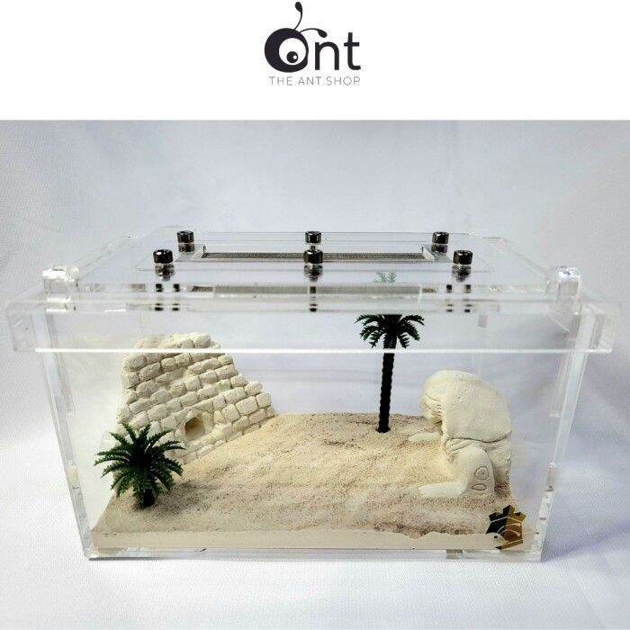 Egyptian Series Outworld - The Guardian - Ant Farm Ant Keeping Ant ...