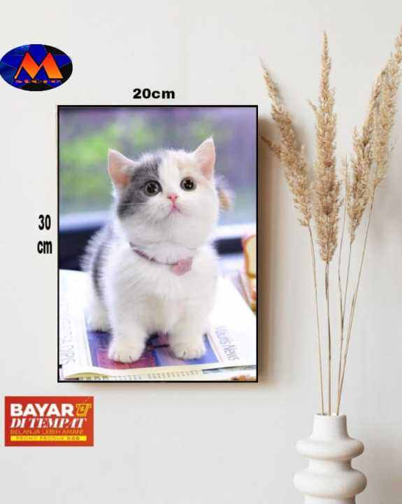 HIASAN DINDING GAMBAR KUCING/POSTER KAYU GAMBAR KUCING/PAJANGAN DINDING ...