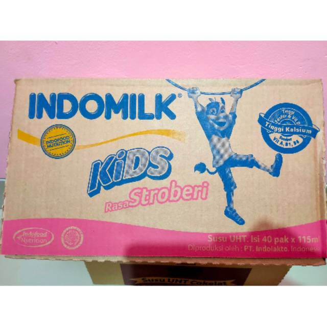 INDOMILK 115ML ALL VARIAN 1 KARTON ISI 40 PCS | Lazada Indonesia