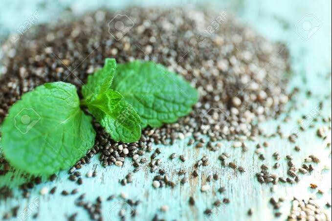 Spearmint Herb Vegetable Plant Mint Seed Home Outdoor Tropical Garden Seeds | Lazada PH