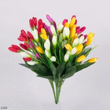Setangkai Bunga Tulip Belanda
